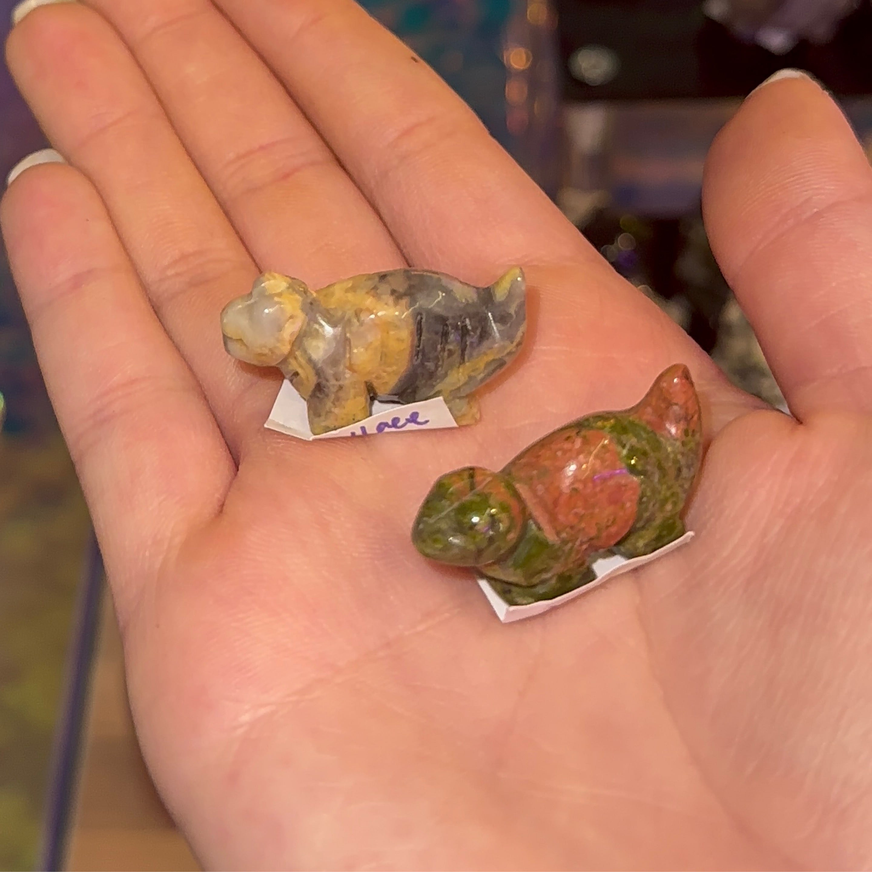 Mini Dinosaur – Krystal Kartel